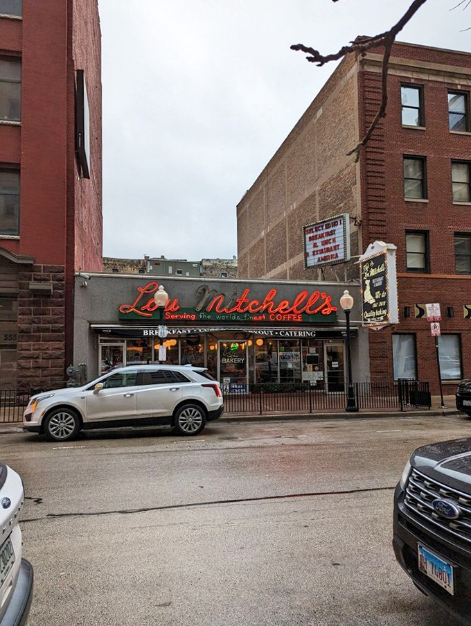 Classic Chicago diner vibes where every booth holds decades of delicious memories and satisfied customers.