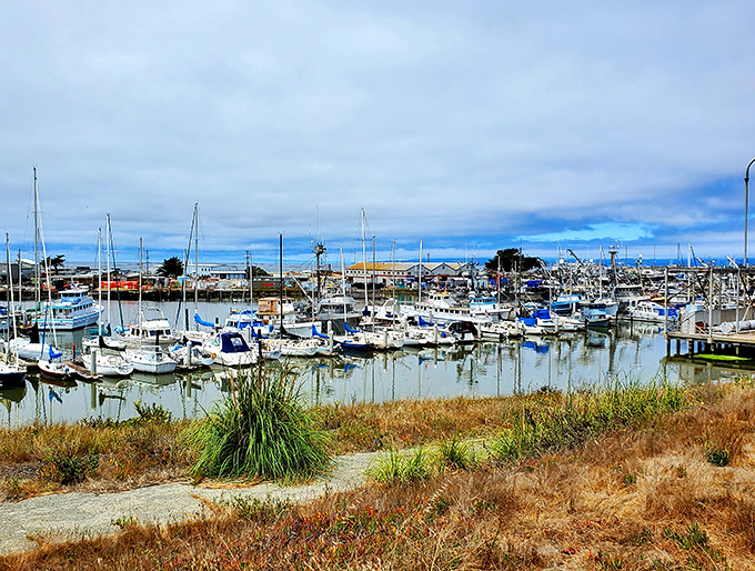 Small harbor, big flavors - sometimes the best seafood comes from the most unassuming places.