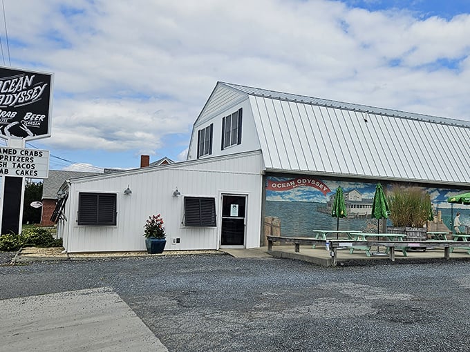 Simple white walls hide Cambridge's crab treasure - where Eastern Shore tradition meets no-nonsense seafood excellence.