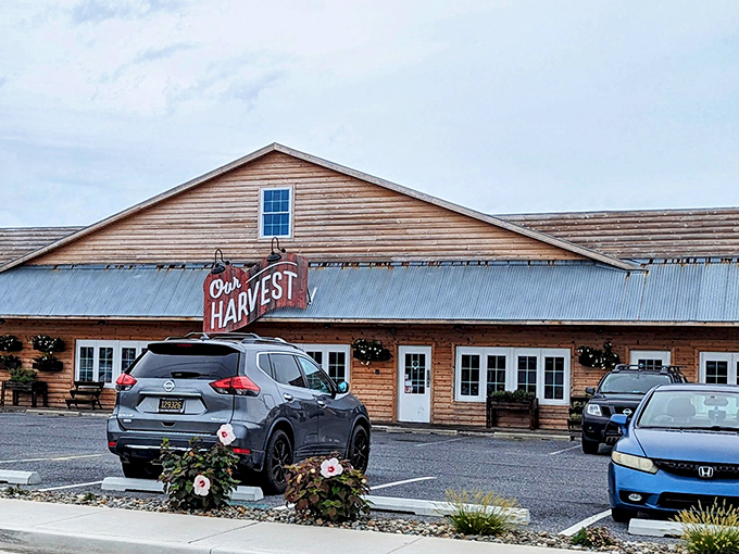 Our Harvest's rustic wooden exterior looks like it was plucked straight from a country living magazine spread.