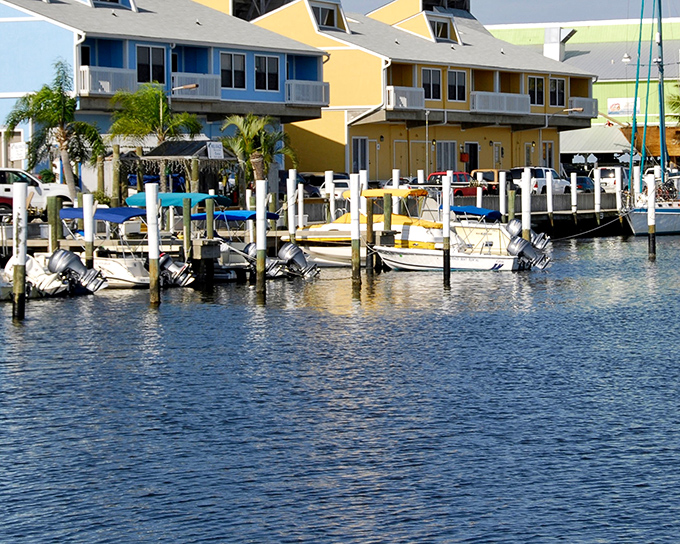 Punta Gorda's marina sparkles like a postcard that decided to come to life permanently.