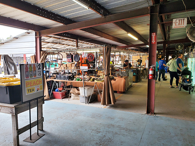 This isn't your typical warehouse - it's a carefully curated collection of America's most interesting leftovers.