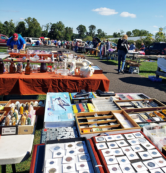 Neat rows of canopied stalls create shopping streets where fresh blooms meet vintage finds perfectly.