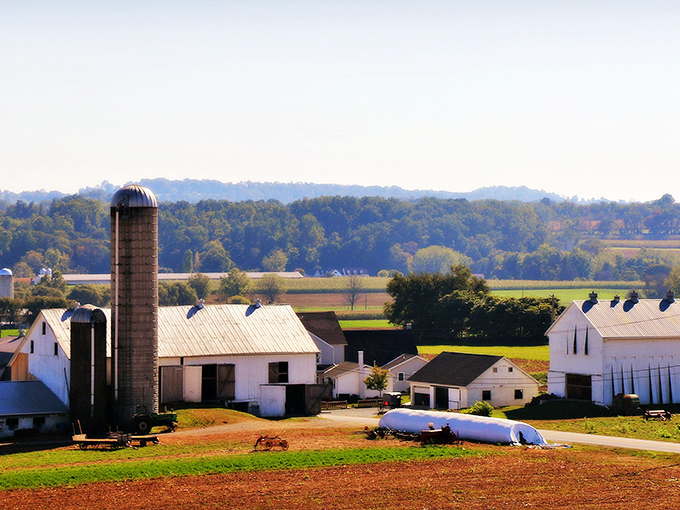 Sunset transforms Ronks into a golden postcard that makes city stress melt away instantly.