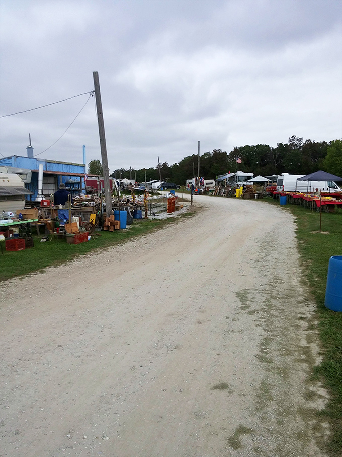 Rutledge Flea Market's dusty pathways lead to unexpected discoveries. A rural treasure hunt where pickup trucks become boutique displays.