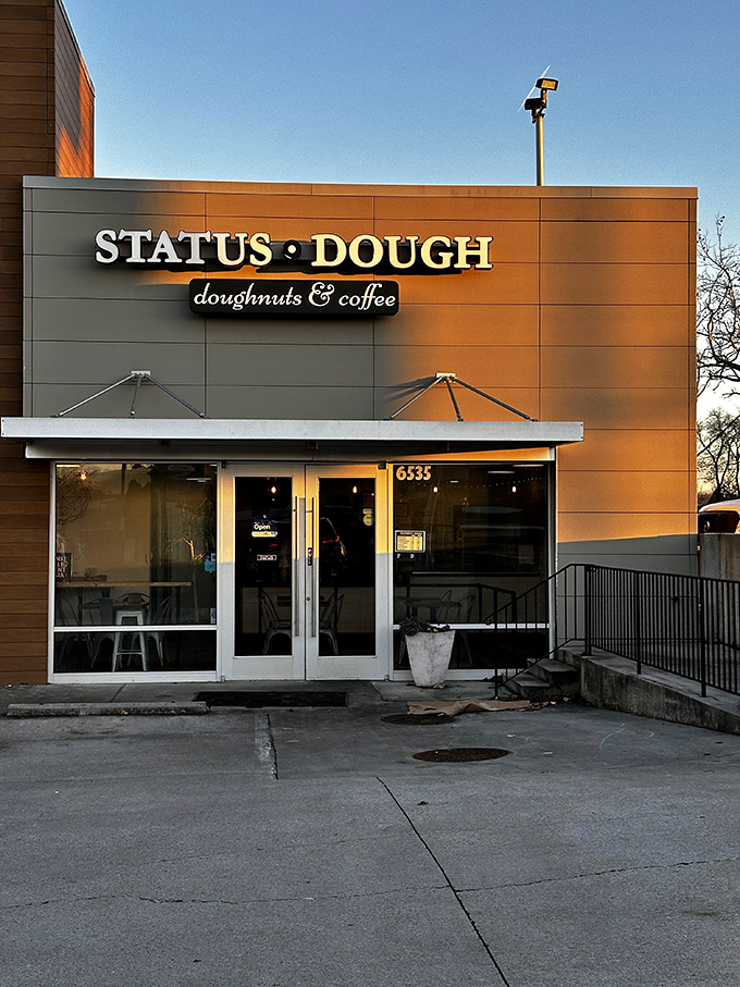 Modern minimalism meets maximum flavor - where sleek design elevates the humble donut to art form status.