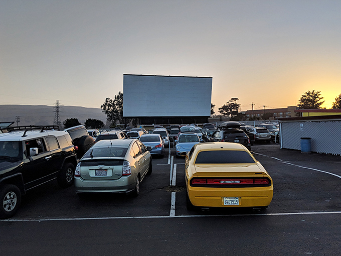 Muscle cars meet hybrids in this democratic gathering at Sunset Drive-In, where vehicle choice matters less than your popcorn-to-candy ratio.