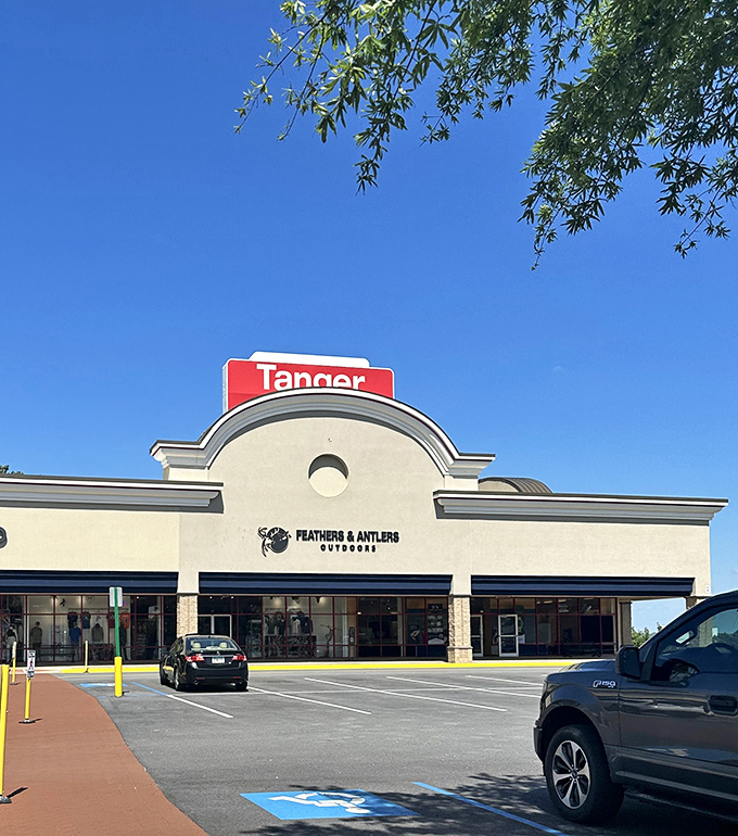 Clean lines and perfect parking spots - this place runs smoother than a well-oiled shopping cart on Black Friday.