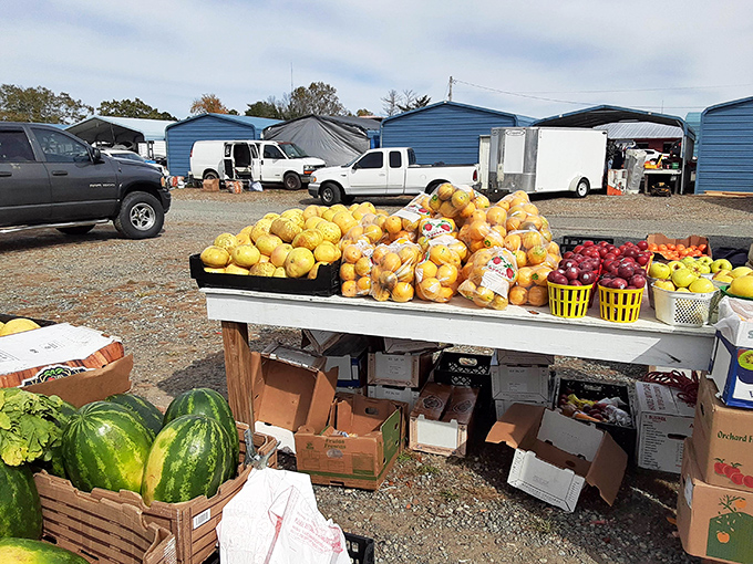 Fresh produce displays showcase the farmers market side of this unique Dallas shopping destination experience.