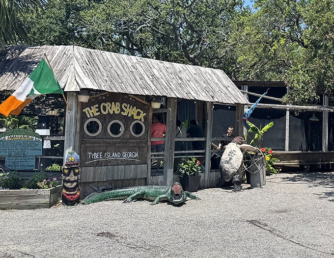 The Crab Shack's weathered wood tells stories of countless messy, magnificent seafood feasts under Georgia skies.