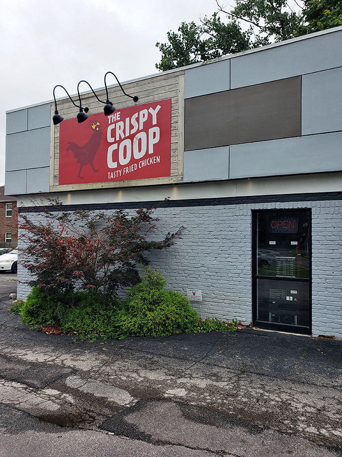 The Crispy Coop's modern look promises old-fashioned flavor &ndash; sometimes evolution tastes absolutely perfect. 