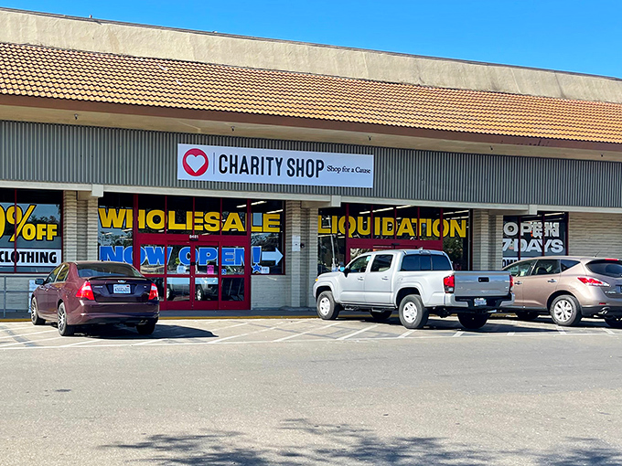 Sometimes the best treasures hide behind the simplest signs. The Discount Store keeps it real and really affordable.