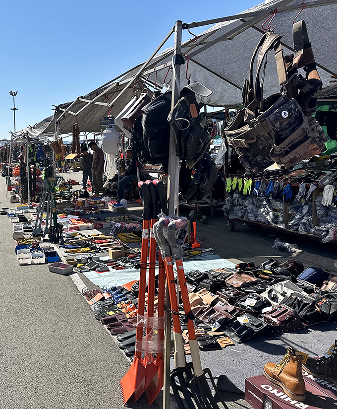 Traders Village Grand Prairie offers everything from DVDs to designer knockoffs under portable canopies. The thrill of the hunt keeps shoppers coming back.