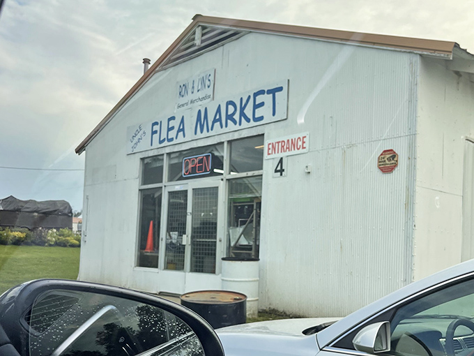 Sometimes the best treasures hide behind the most unassuming facades, like finding gold in Grandma's attic.