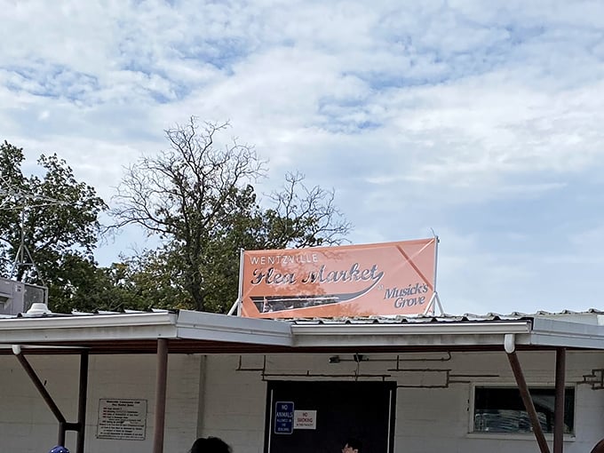 The Wentzville Flea Market brings that authentic outdoor shopping experience under sunny Missouri skies.