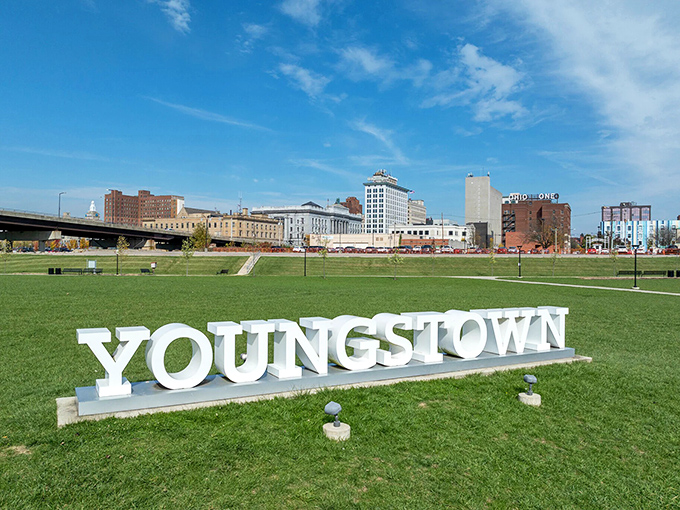 Youngstown's skyline stretches across the horizon like a testament to industrial heritage and renewal.