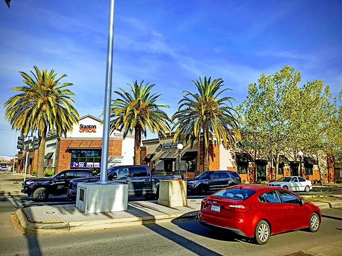 Yuba City's palm-lined streets create that perfect California postcard you thought only existed in movies.