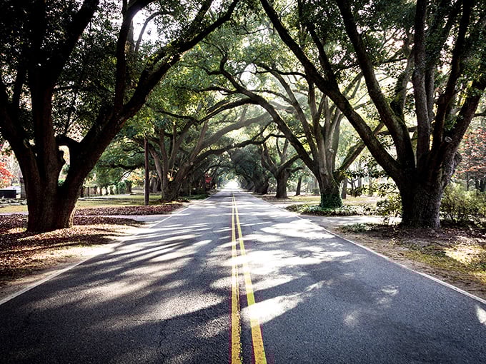 The wide, welcoming streets of downtown Aiken make every errand feel like a pleasant social occasion rather than a chore.