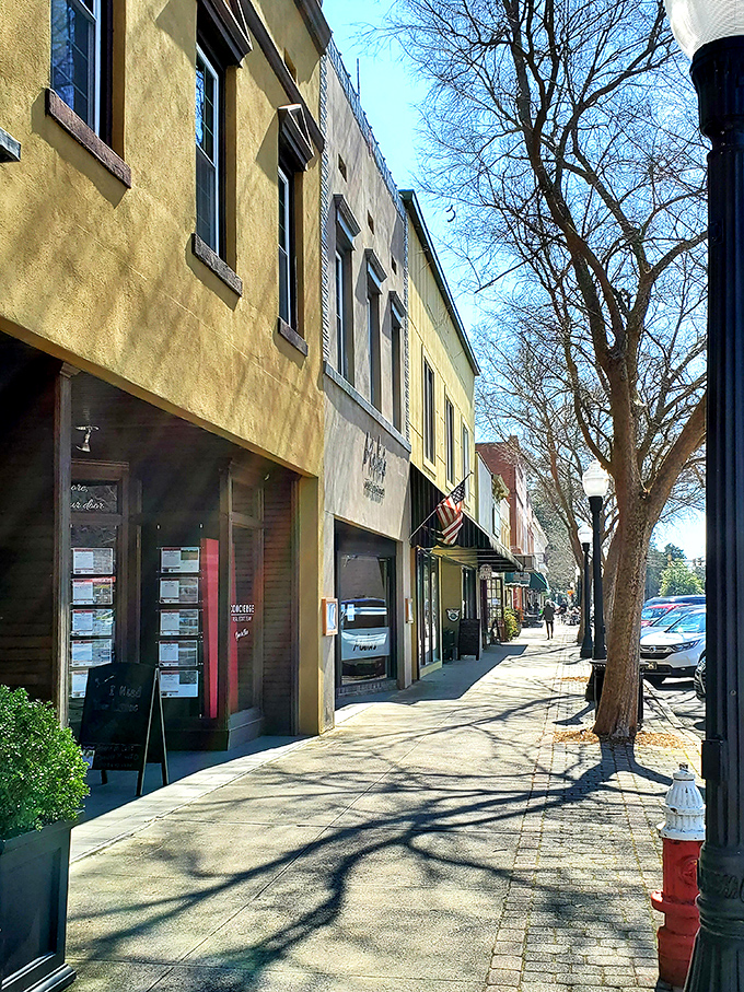 Colorful storefronts line Aiken's welcoming streets. A place where window shopping is an afternoon's entertainment.