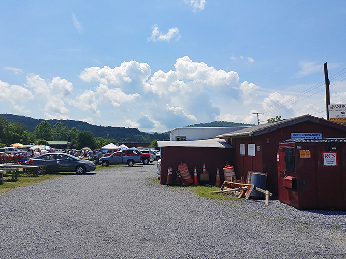 That mountain backdrop makes bargain hunting feel like an adventure movie scene. 