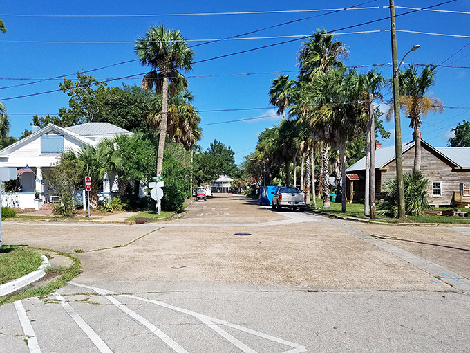 The pastel-colored buildings and towering trees of Apalachicola stand proudly against Florida's blue skies, like a Southern watercolor come alive.