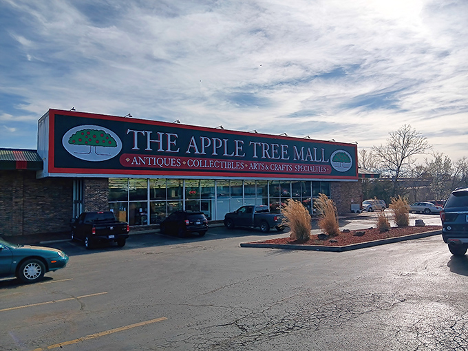Branson's favorite treasure trove stands ready for exploration. Behind that sign lies a world of vintage delights and unexpected finds.
