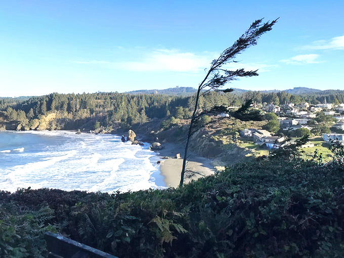 Windswept grasses dance along these bluffs like nature's own welcome mat for budget-conscious beach lovers.