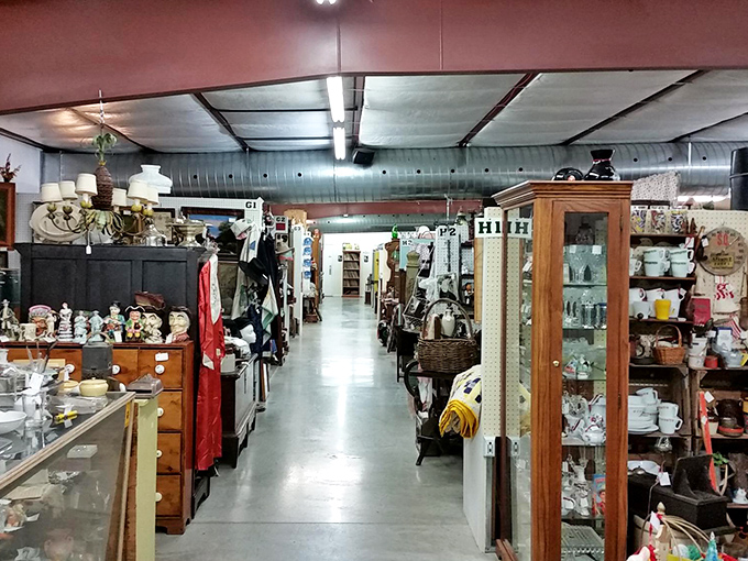 Row after row of treasures create a maze where getting lost is half the fun.