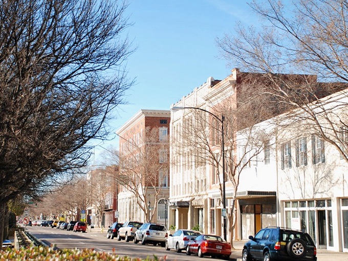 Tree-lined avenues create natural cathedrals perfect for Sunday drives and weekday daydreaming sessions.