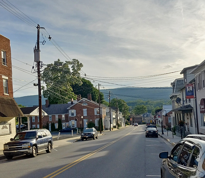 Classic American architecture meets modern convenience, where past and present shake hands on every charming block.
