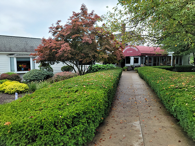 Beautiful gardens frame this Barberton treasure, proving that great chicken deserves an equally lovely setting.