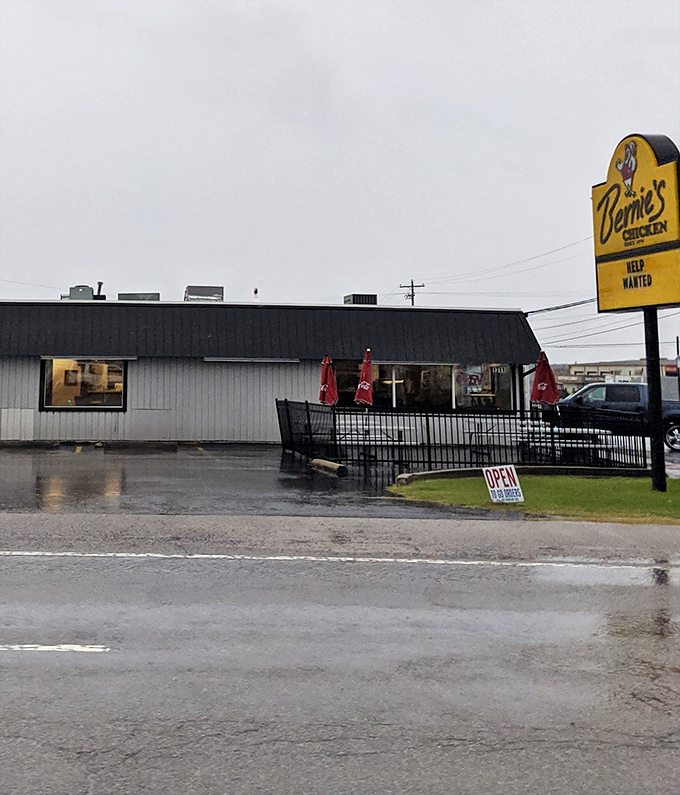 Sometimes life's greatest pleasures come from the most unexpected places along quiet neighborhood streets.