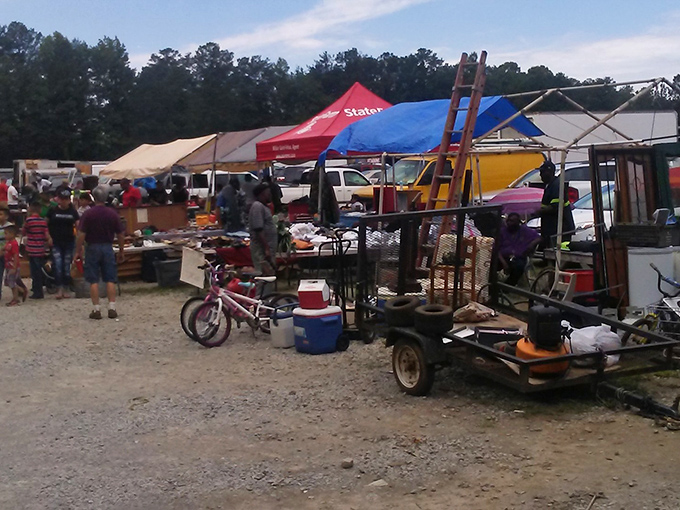 At Bill's, every table tells a different story. The real magic happens when you find the chapter that belongs in your home.