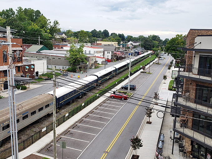 The Blue Ridge Scenic Railway cuts through town like a steel ribbon, connecting visitors to adventures in these gorgeous North Georgia mountains.