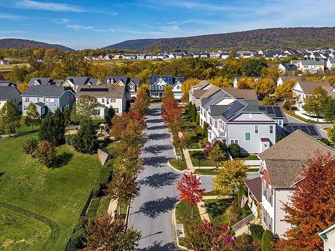 Brunswick's tree-lined streets offer shade and serenity that money simply cannot buy anywhere else.