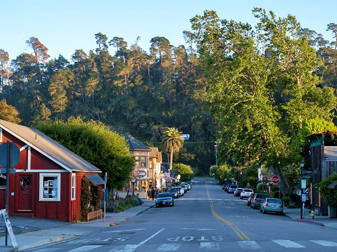 Cambria's sun casts a golden glow on homes. Mother Nature's version of mood lighting never disappoints.