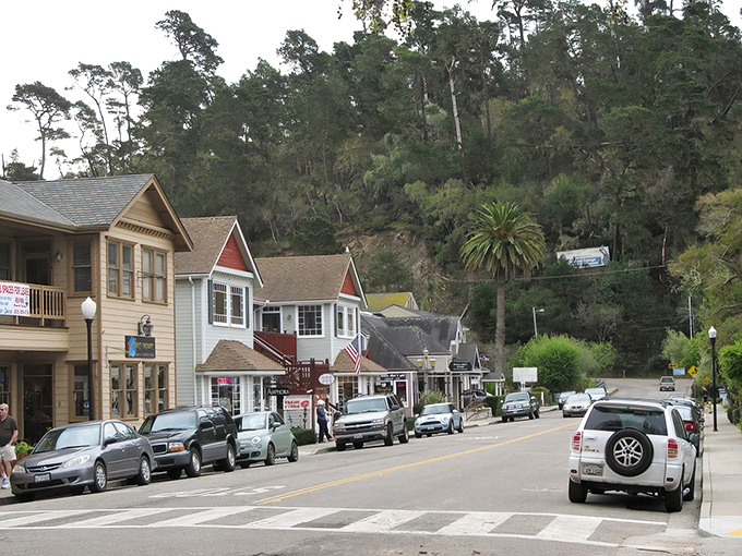 The perfect marriage of mountains and trees creates Cambria's backdrop, where every shop seems to have a story to tell.
