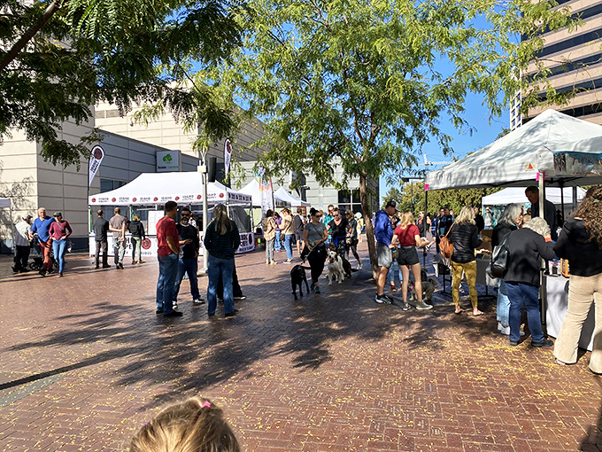 City sophistication meets small-town charm as shoppers stroll through Boise's bustling outdoor marketplace.