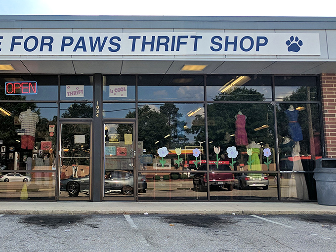 The cheerful storefront windows display colorful finds while supporting our four-legged friends in genuine need.