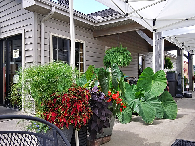 Lush greenery frames the perfect spot for savoring life's sweetest moments, one flaky bite at time.