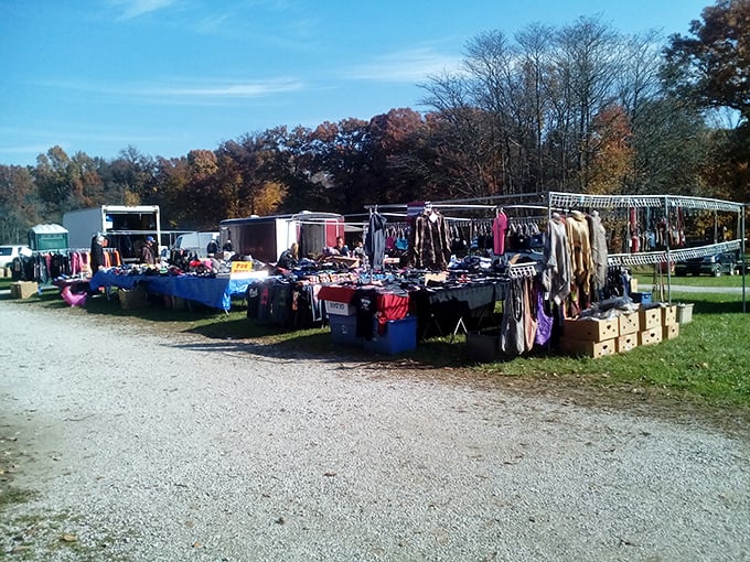 This outdoor setup captures the true spirit of flea marketing - community, fresh air, and endless possibilities.