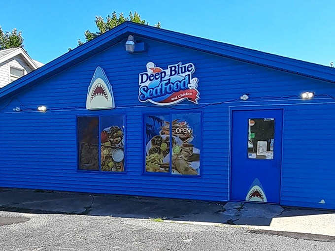 Those playful shark decorations hint at underwater adventures waiting just beyond these cheerful blue walls.