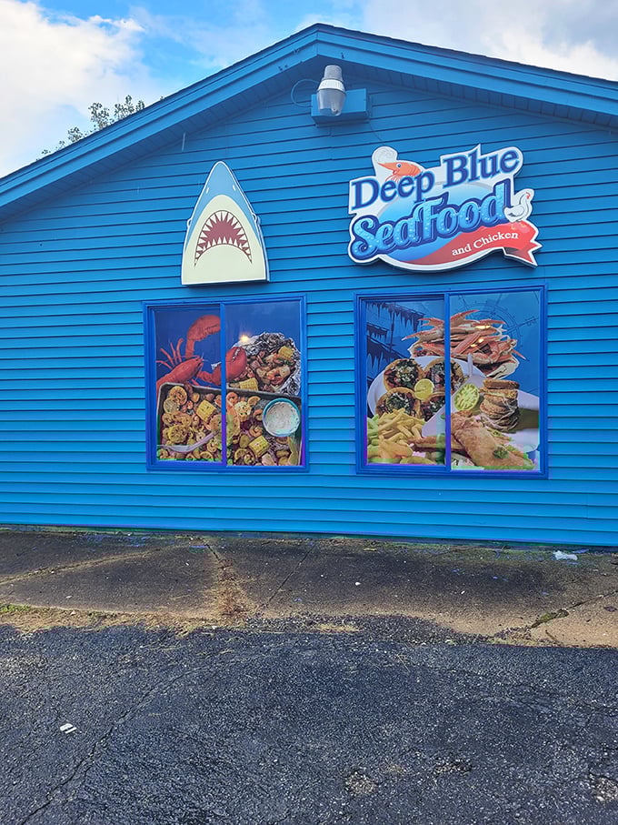 That shark silhouette isn't just decoration &ndash; it's a warning that serious seafood cravings will be satisfied here.