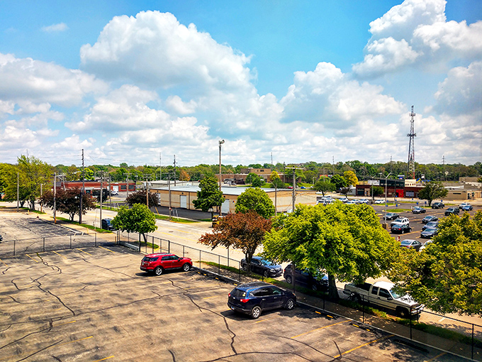 From above, Decatur spreads out like a green carpet dotted with possibilities for comfortable, budget-conscious living.