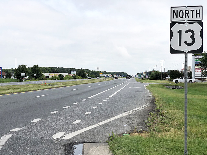 Route 13 stretches through Delmar, connecting residents to neighboring towns while maintaining the buffer of peaceful countryside between them.