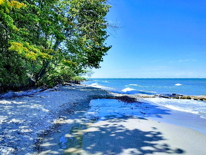 This marina scene captures everything magical about Ohio's lakefront summer lifestyle perfectly.