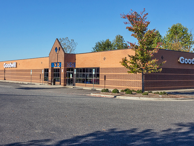 That familiar blue logo means business - the kind that turns pennies into perfect finds.