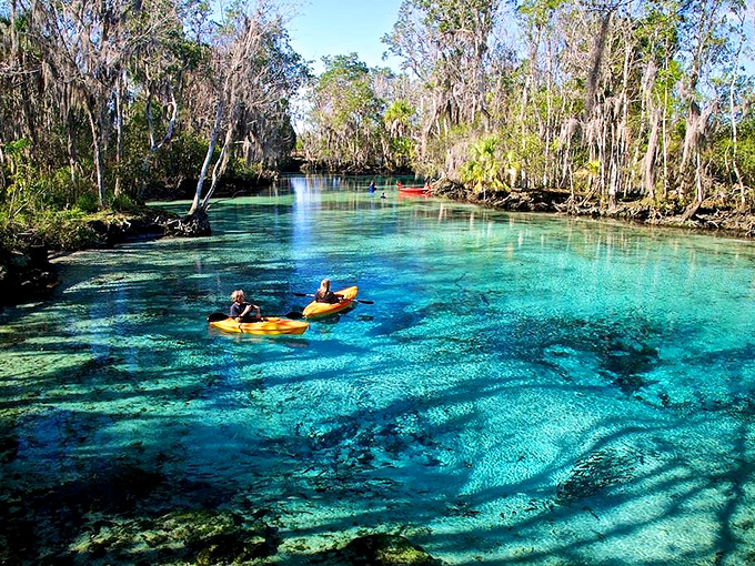 Crystal-clear springs reveal underwater gardens where kayakers glide over nature's most beautiful swimming pools.