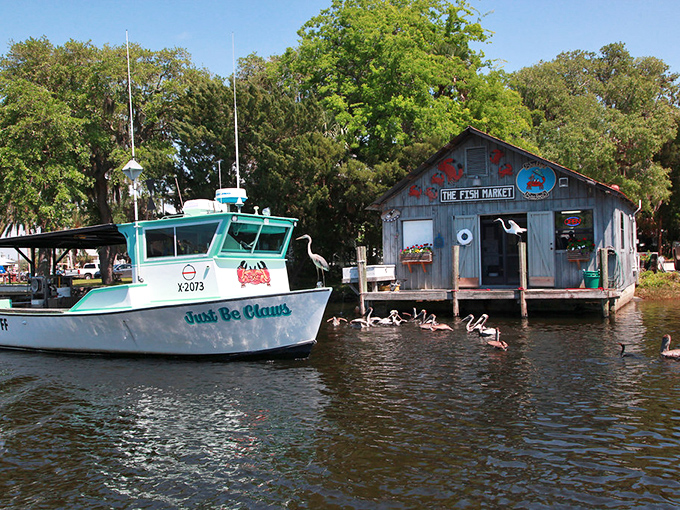 The Homosassa River flows like liquid silver, carrying stories of manatees and memories through pristine waters.