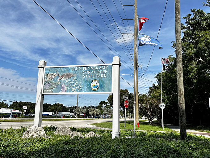 John Pennekamp's coral gardens: nature's version of a gated community with better residents. 
